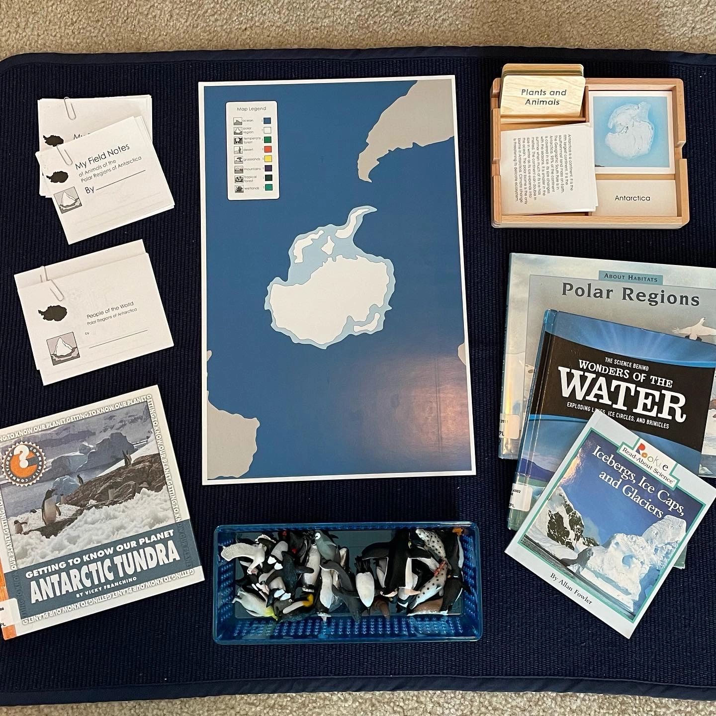 Biomes of Antarctica