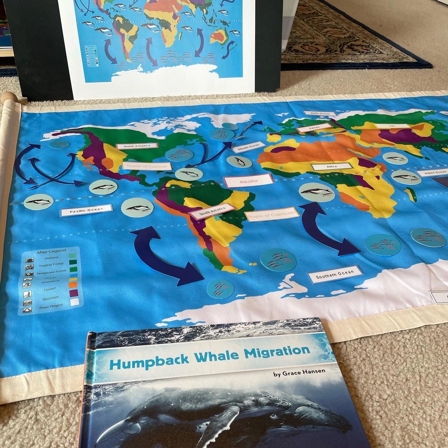 Mapping Humpback Whale Migration