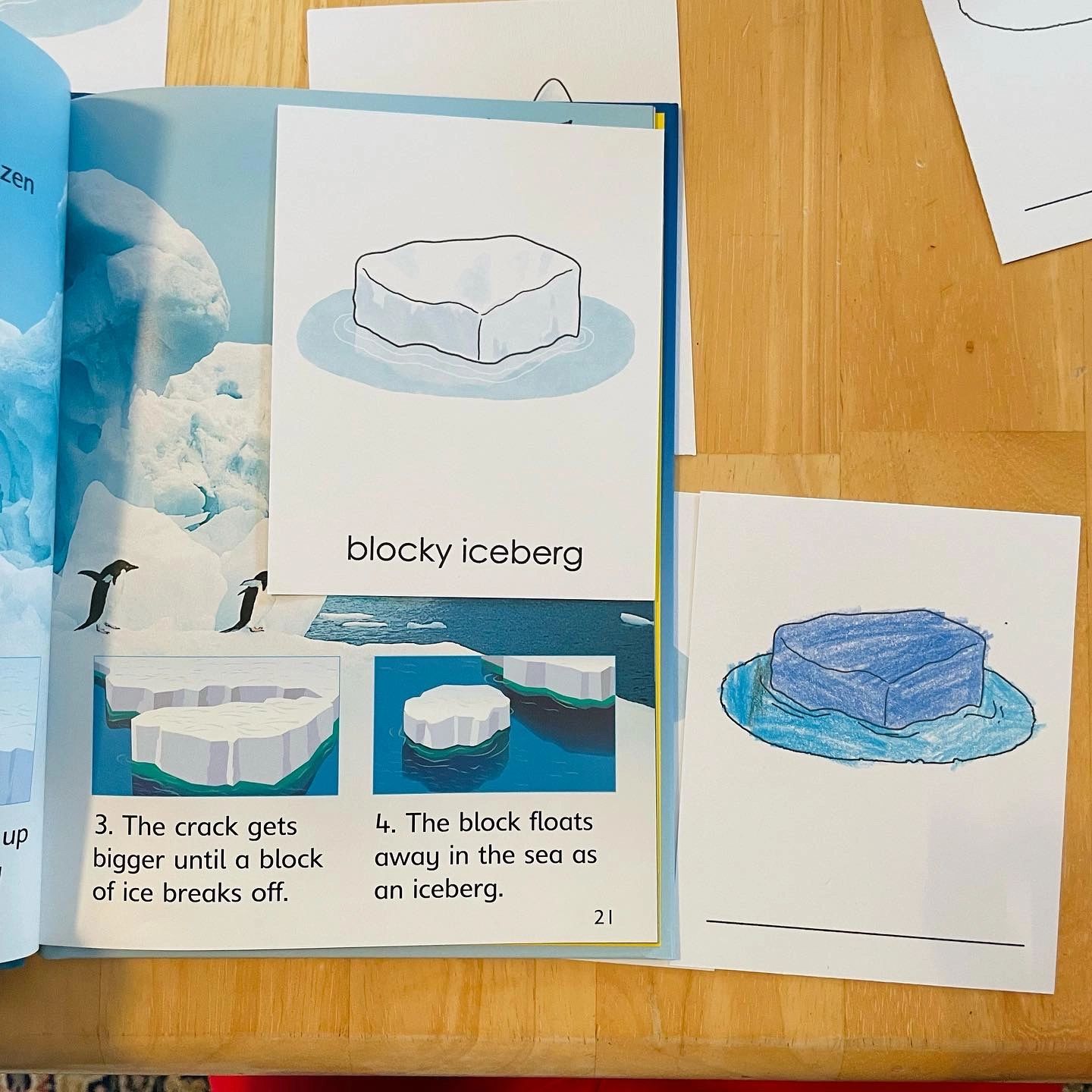 Types of Icebergs
