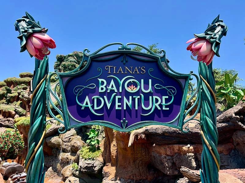 A Hot, Long Bayou Adventure