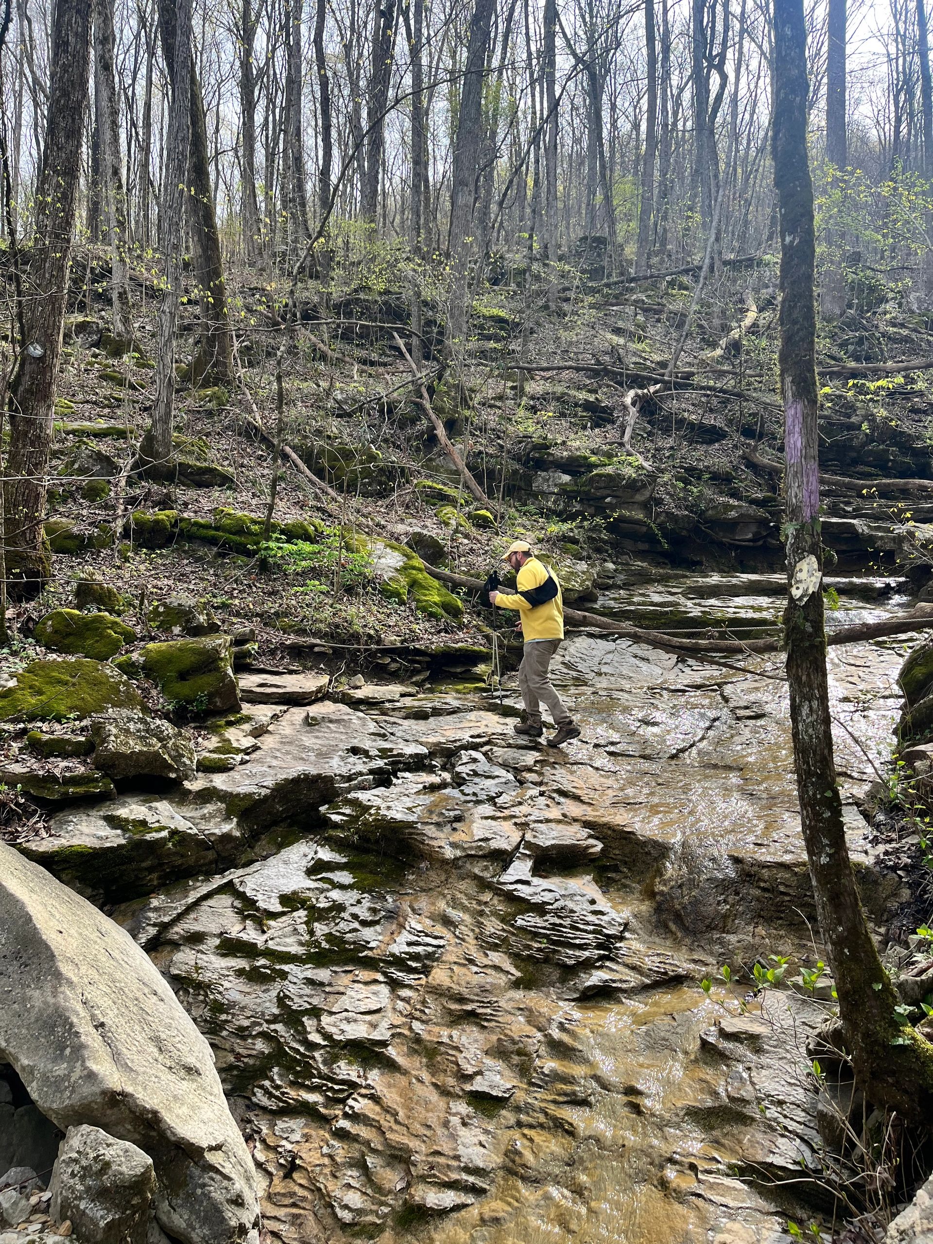 We are Trailblazing!