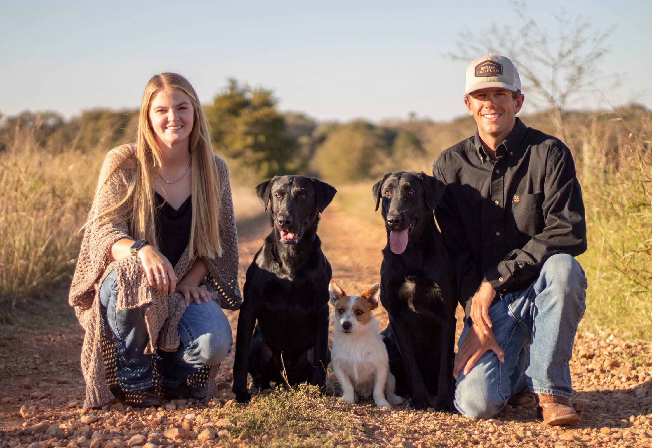 Cour’s Retrievers - Dog Training