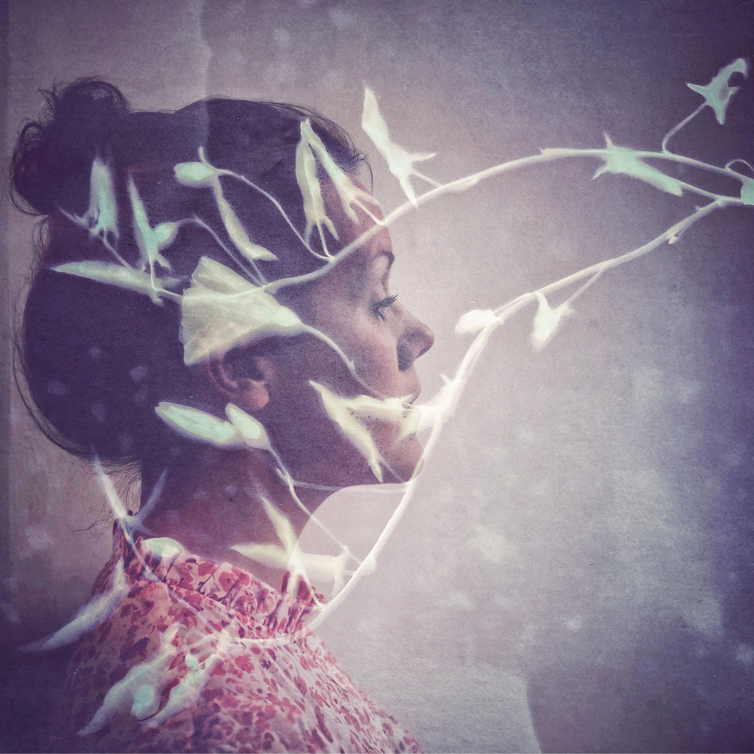 Trio | Gifts From Crows