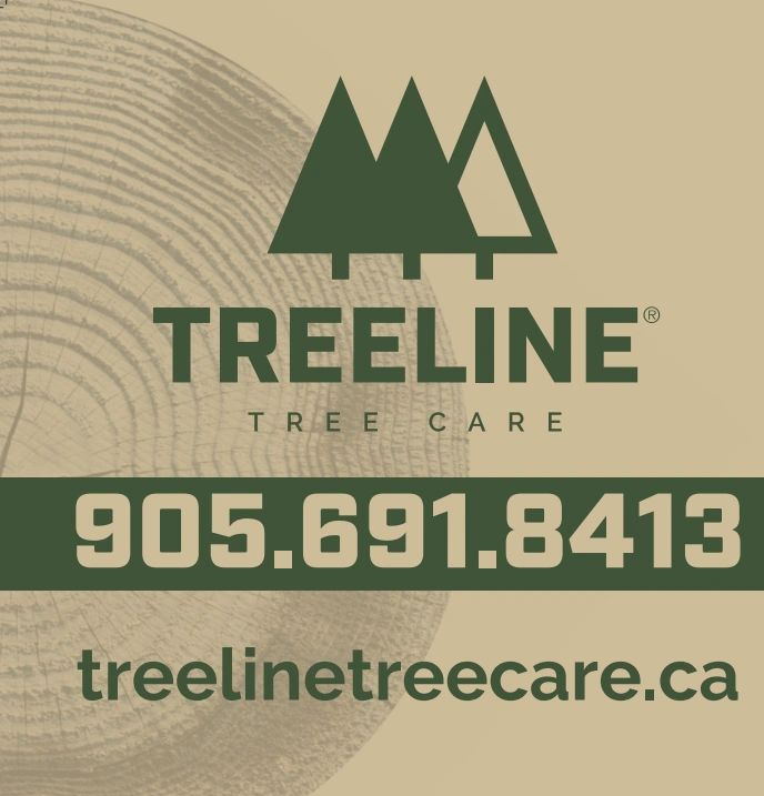 Treeline Tree Care
