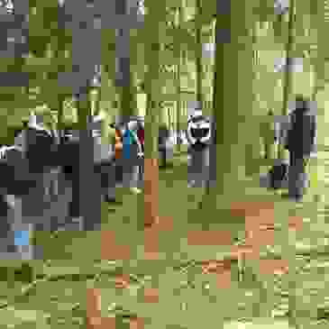 LeRoy Heritage Museum, Inc. - LeRoy, Pennsylvania