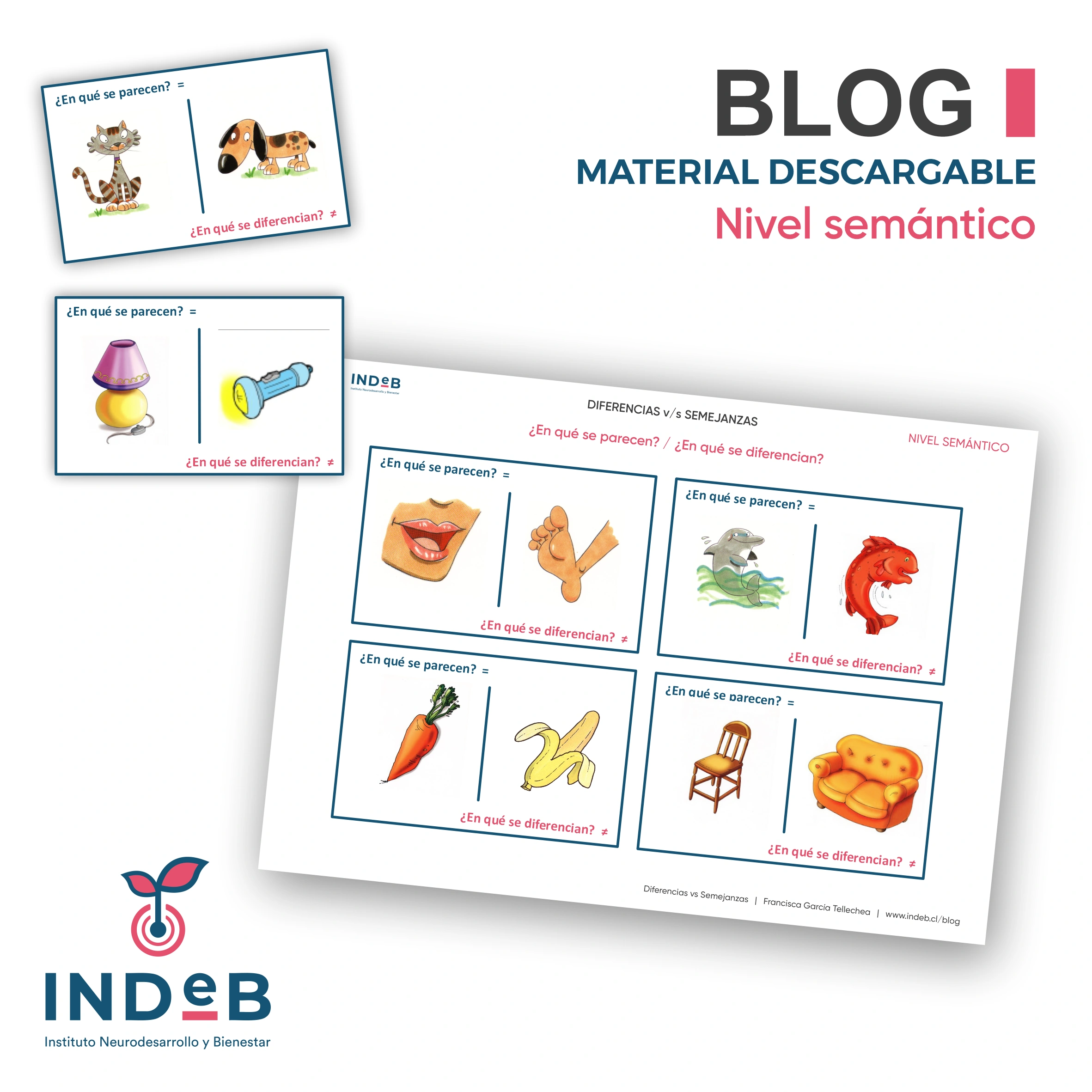 Diferencias v/s Semejanzas