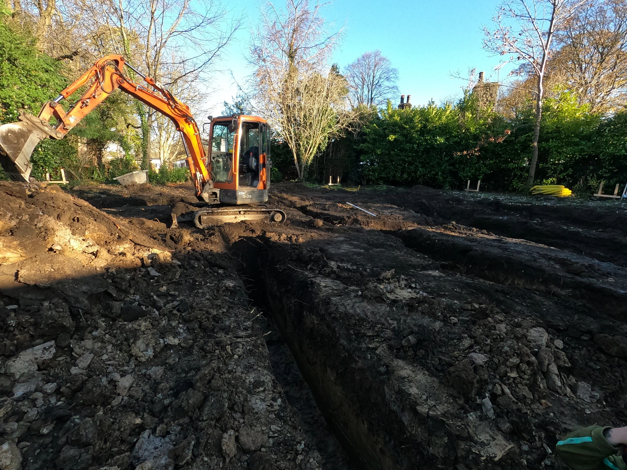 Foundations Near Trees