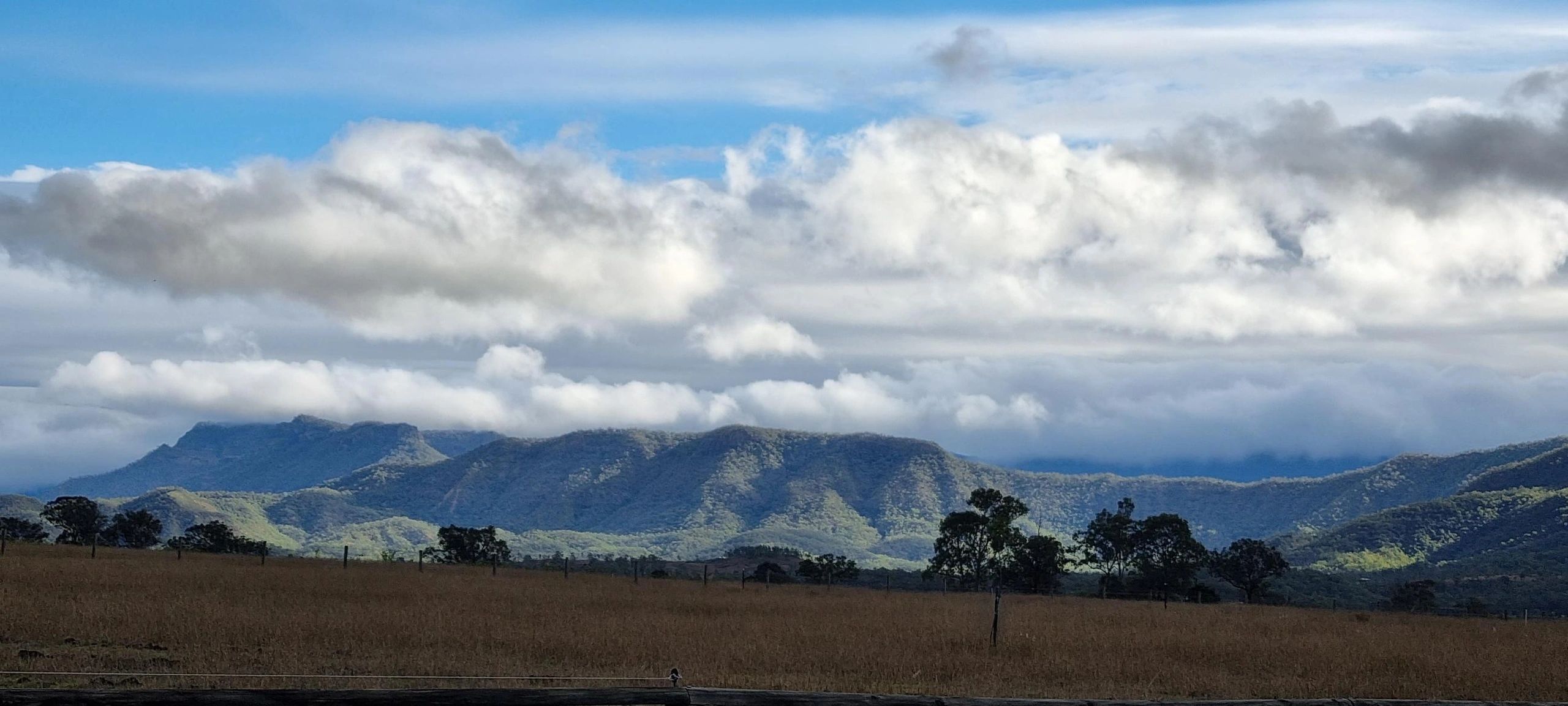 Living in Rosevale Qld