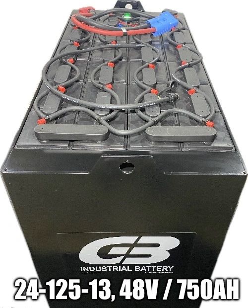 NEW 24-125-13 BATTERY, 24 Cell, 48 VOLT, 750AH