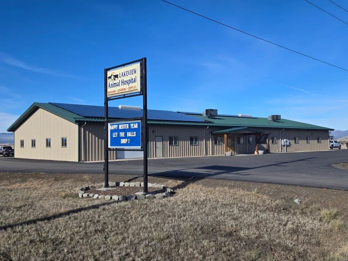 Outback Vet Supply