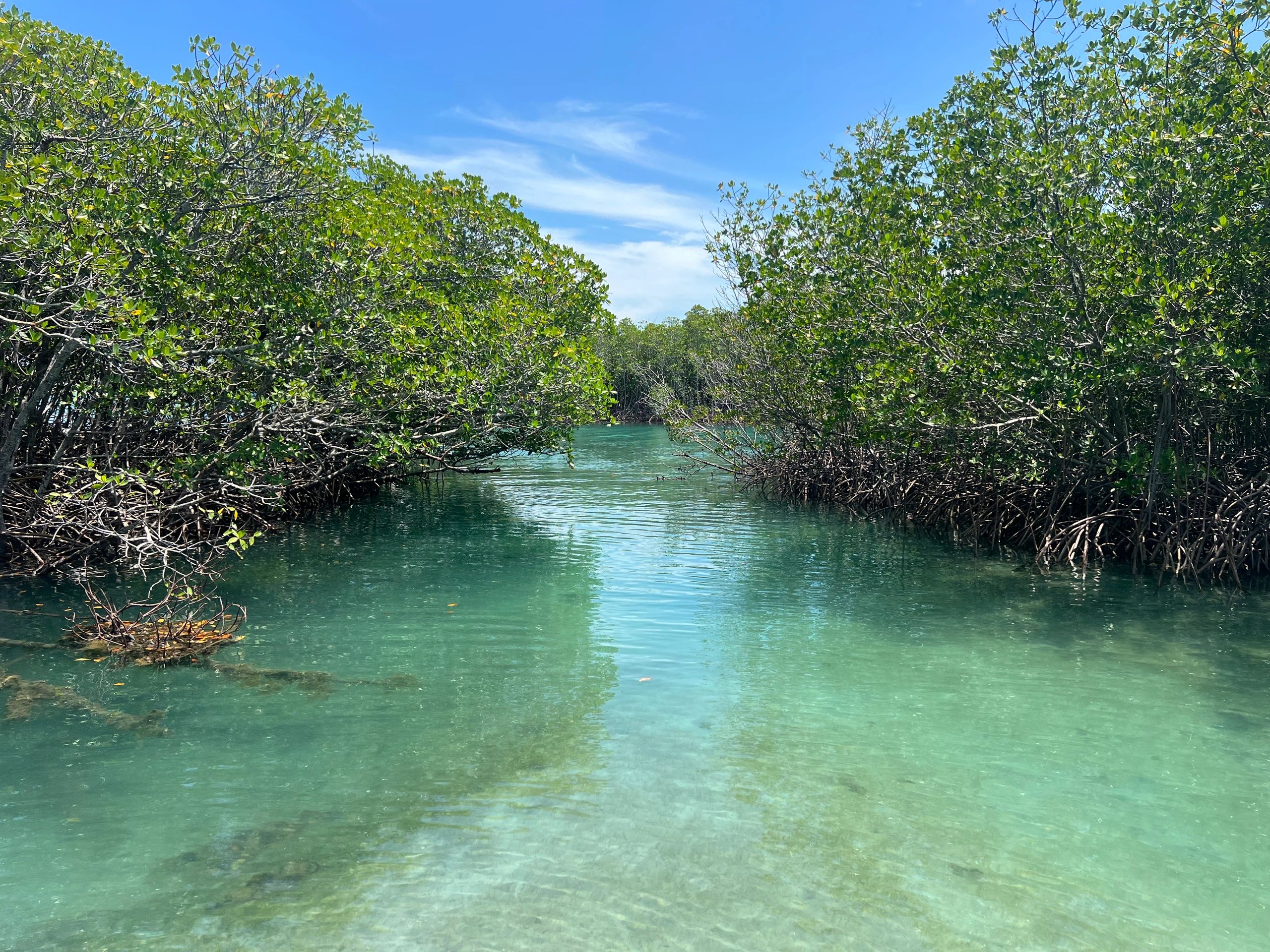 Fort Pierce Inlet Restoration Project