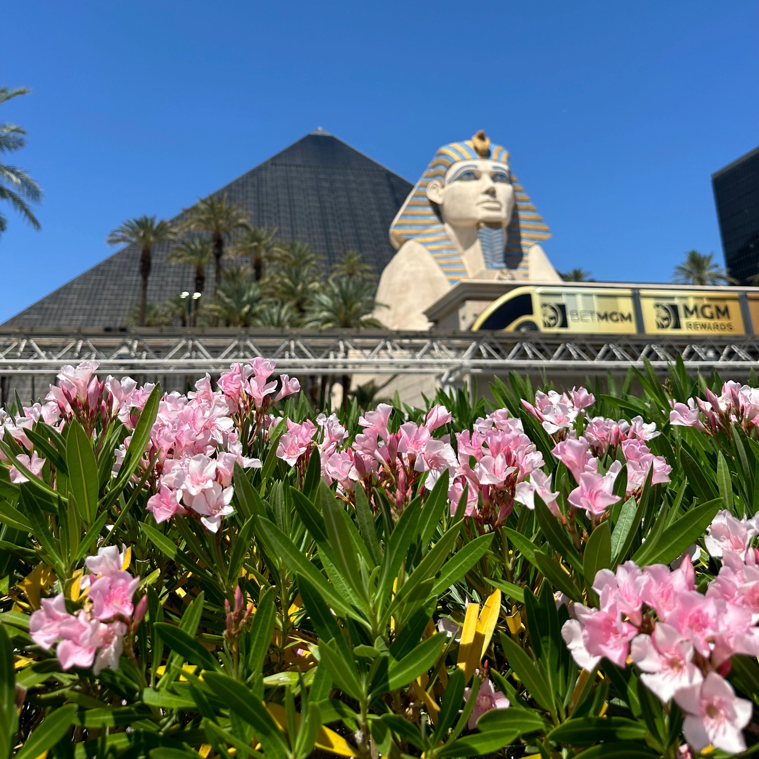 Luxor: 4th Largest Pyramid Sees an Unusual Amount of Death