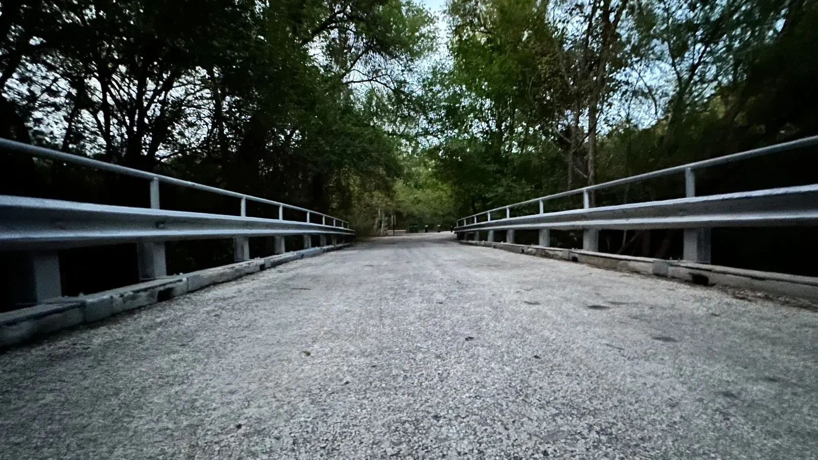 San Antonio Donkey Lady Bridge