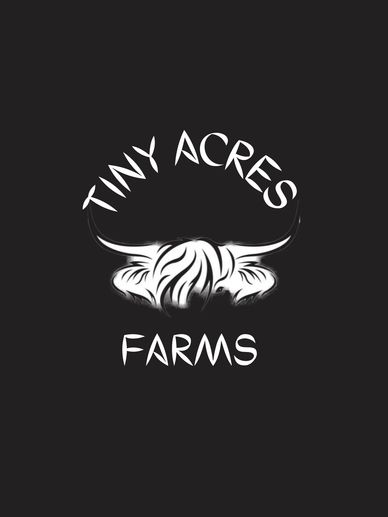 Other animals for sale