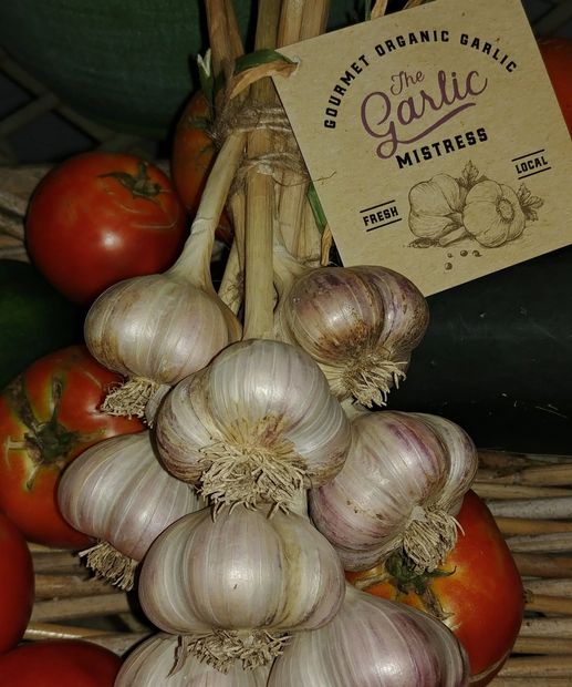 Garlic - The garlic mistress