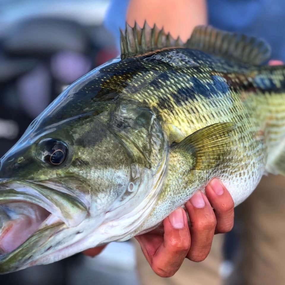 HOME | ROB JORDAN FISHING