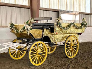 Our Carriages