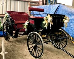 Horse Carriages - Diana's Horse Carriages