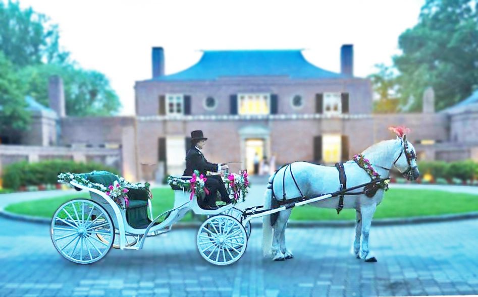 Our Carriages | Diana's Horse Carriages