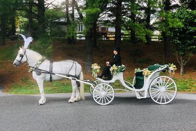 Horse Carriages - Diana's Horse Carriages