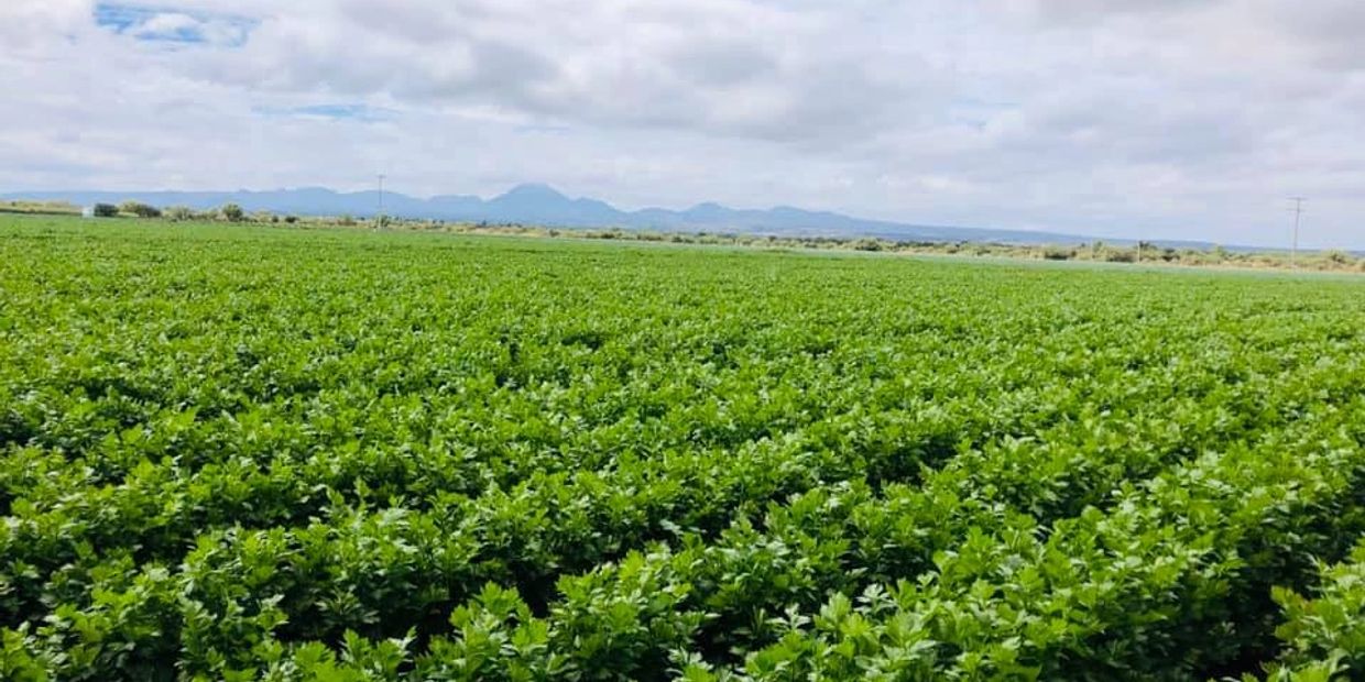 Santa Maria Quality & Food Safety | Santa Maria Quality & Food Safety