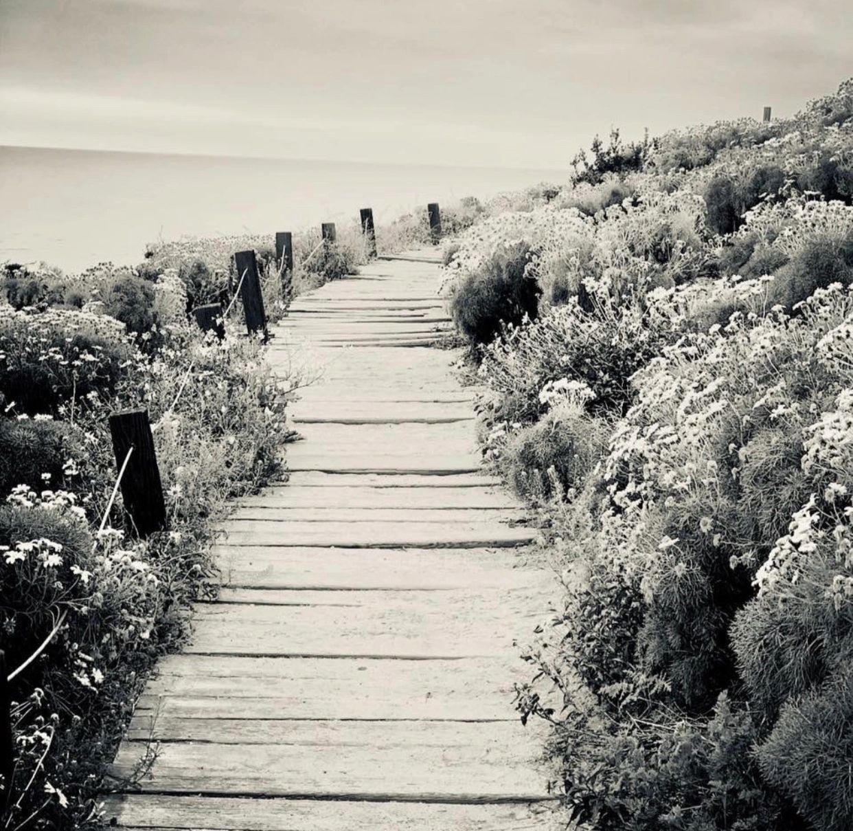 Melissa Muller Psy.D - Therapy, Counseling, Mental Health