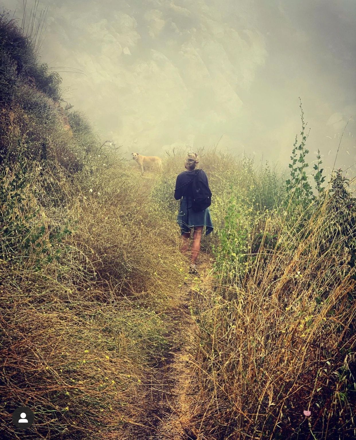 Melissa Muller Psy.D - Therapy, Counseling, Mental Health