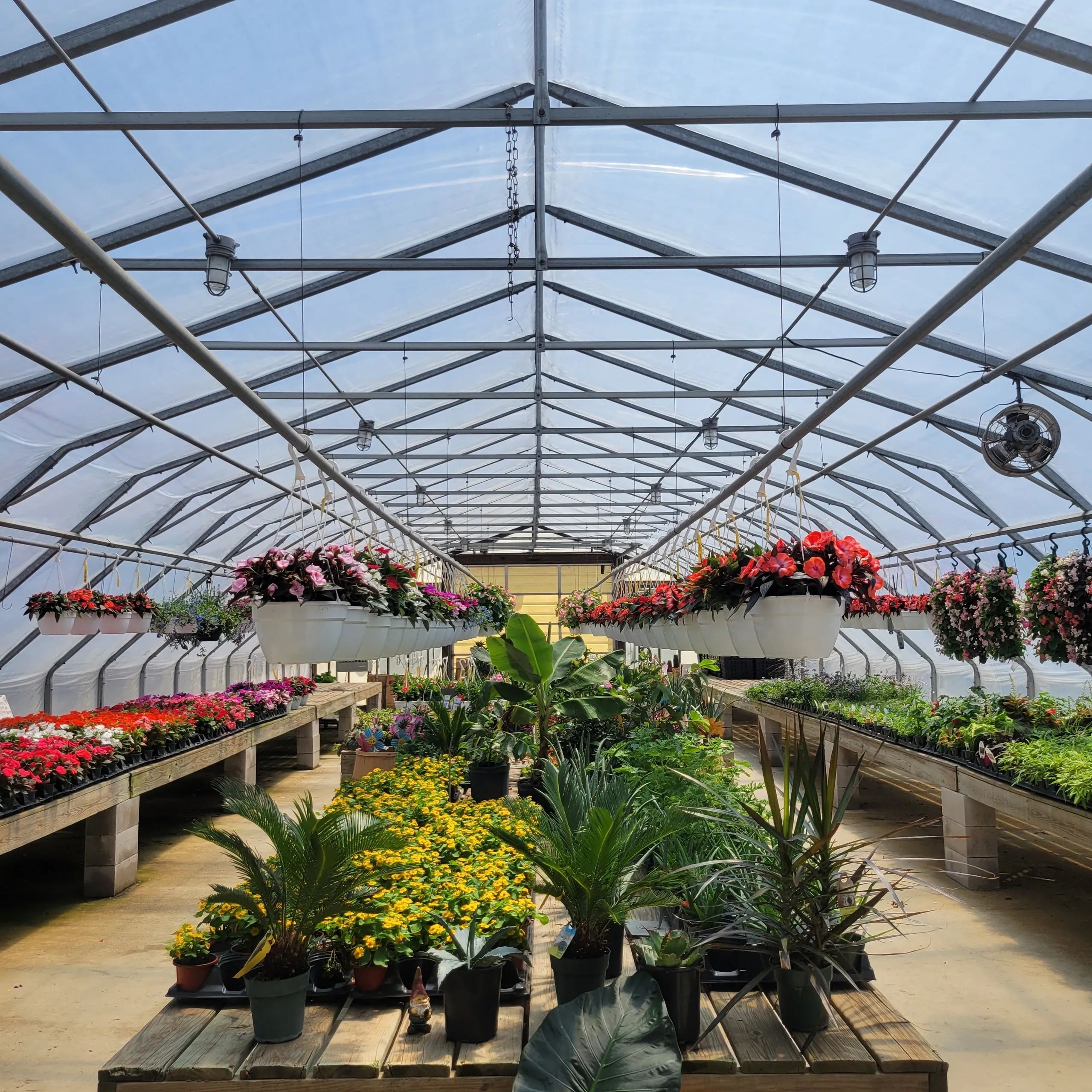 Pop's farm Market - Home