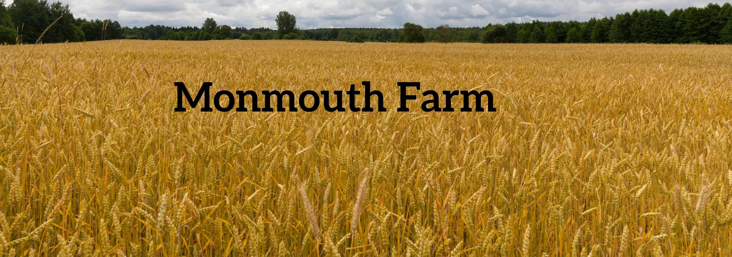 Monmouth Farm - Sustainable Agriculture, Sustainable Farming, Wheat Farm