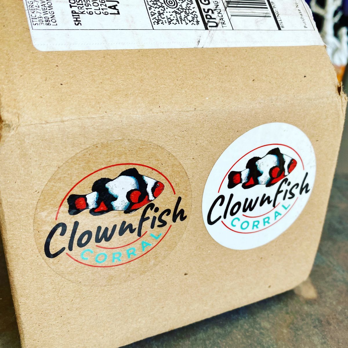 Clownfish Corral Sticker White