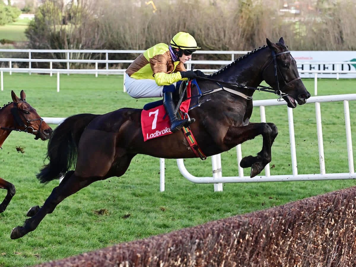 Cheltenham 2023 - Antepost