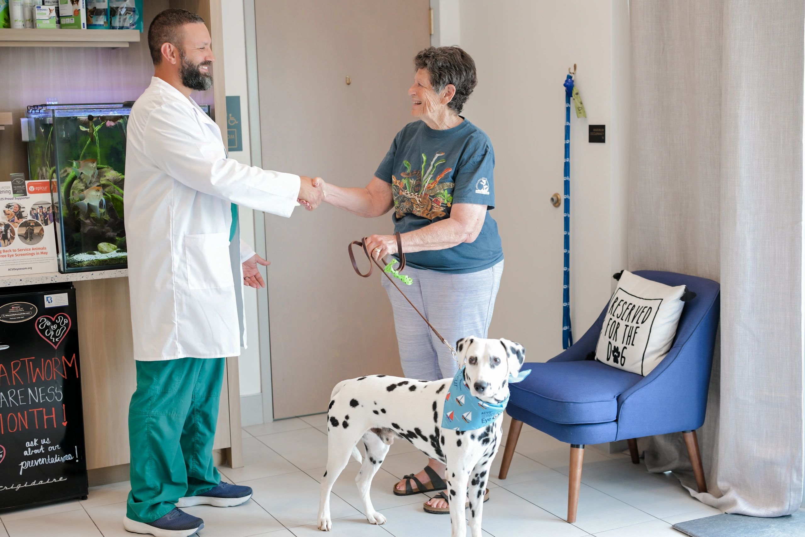 Veterinary Vision of Florida