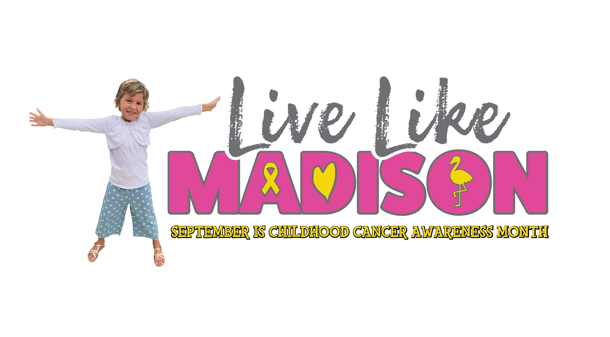 Live Like Madison, LLC