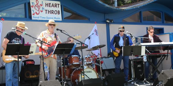 Videos | The Heart Throb Band