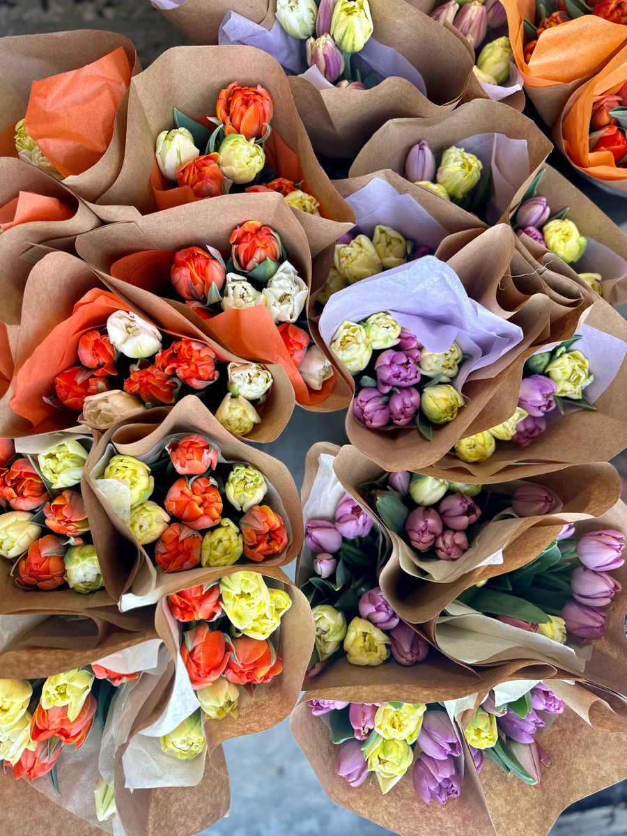 A dose of winter tulip bliss csa - 5 weeks