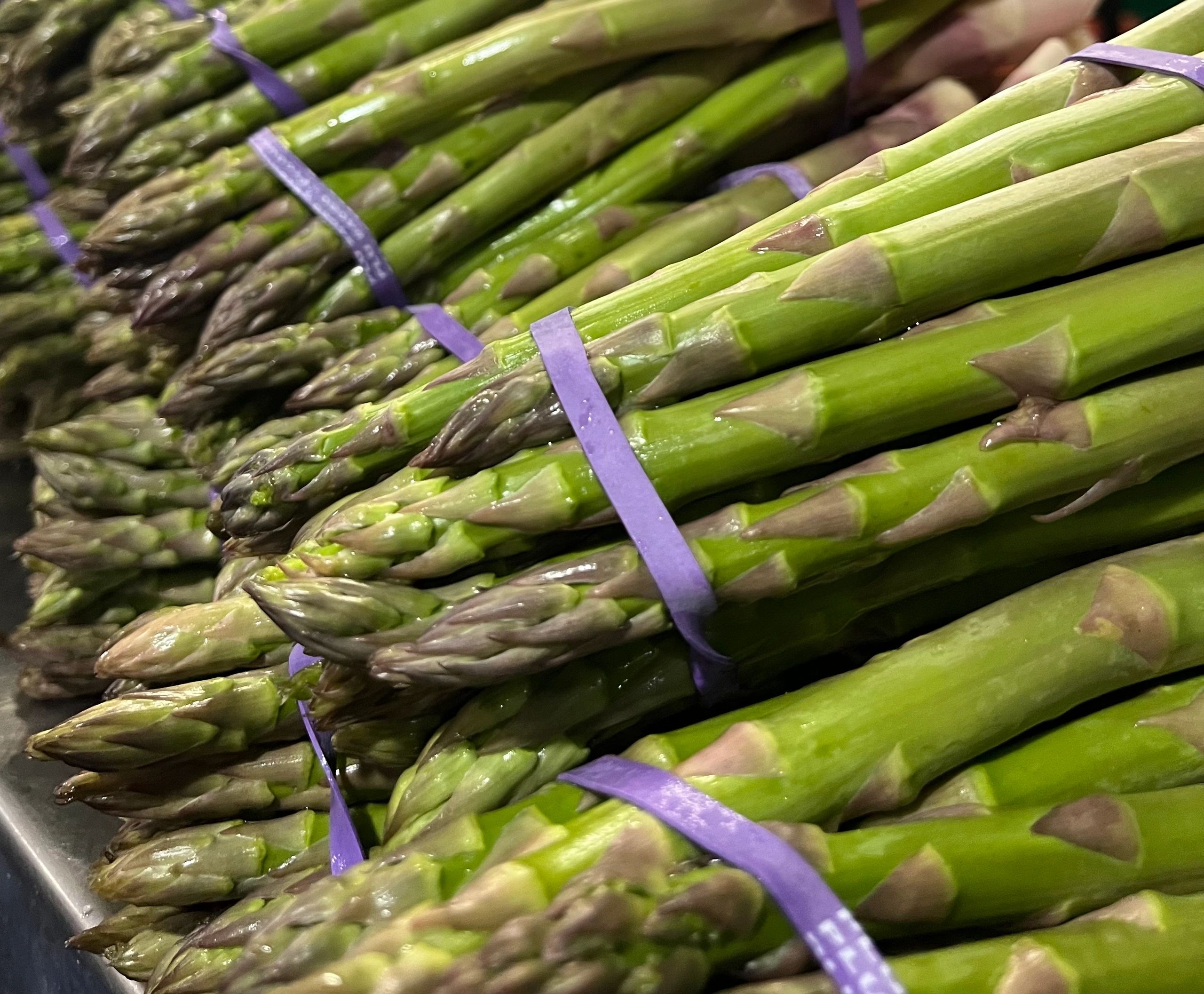 Pacific Sun Growers
