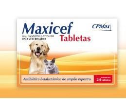 MAXICEF 24 TABLETAS DE 400 MG