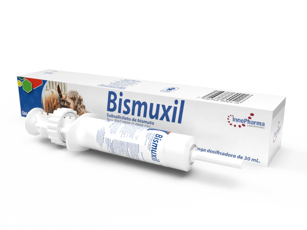 BISMUXIL PASTA ORAL EN GERINGA DE 30 ML