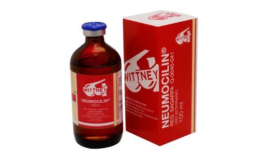 NEUMOCILIN