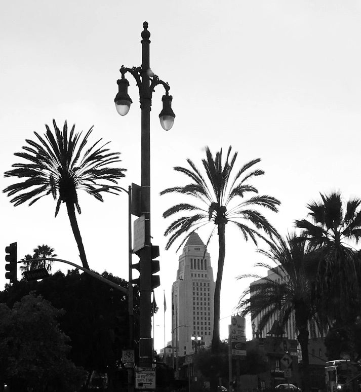 Dave Griffith Designs