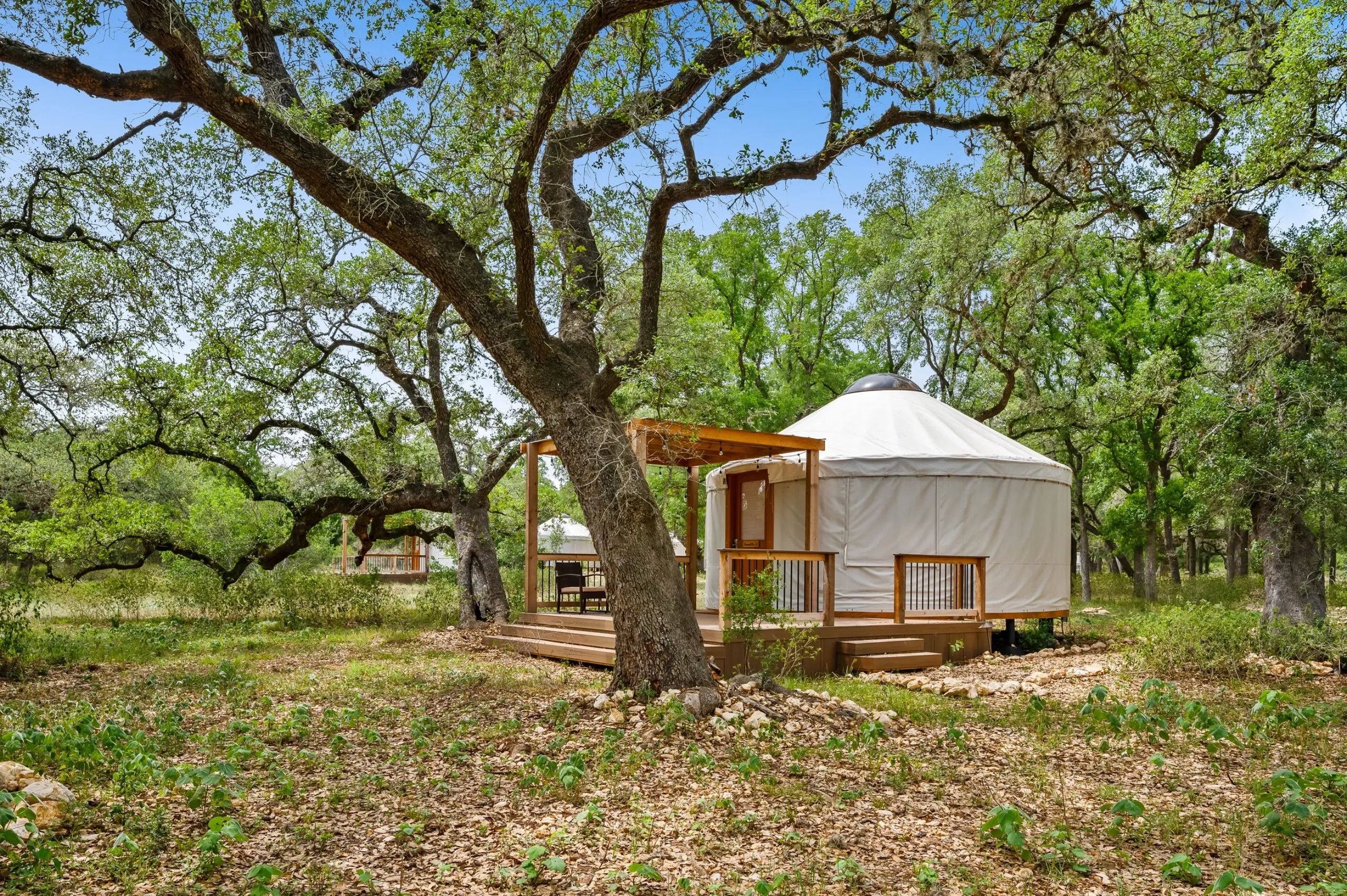 Texas Yurt Haus