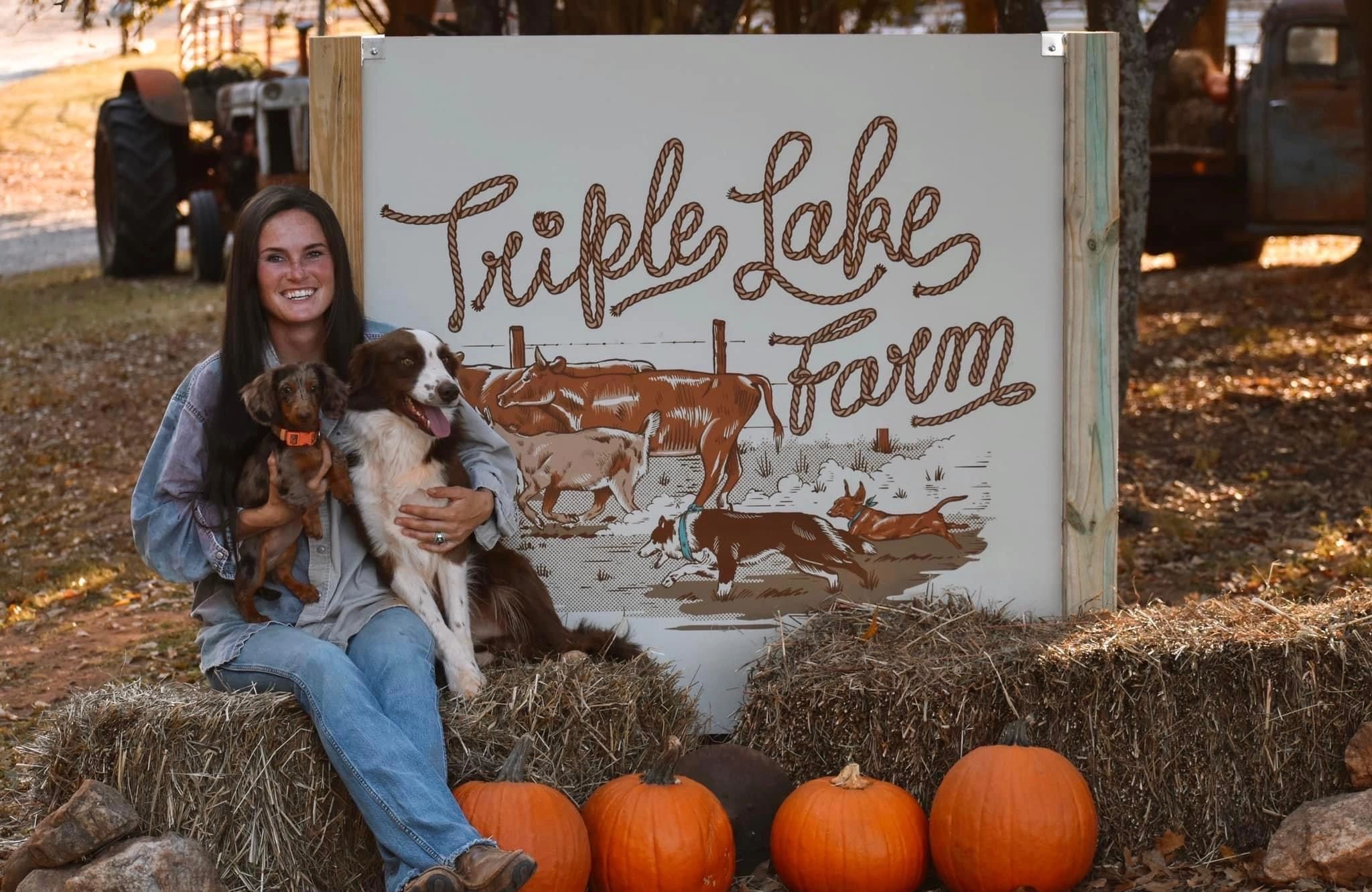 Top Dachshund Breeder in South Carolina