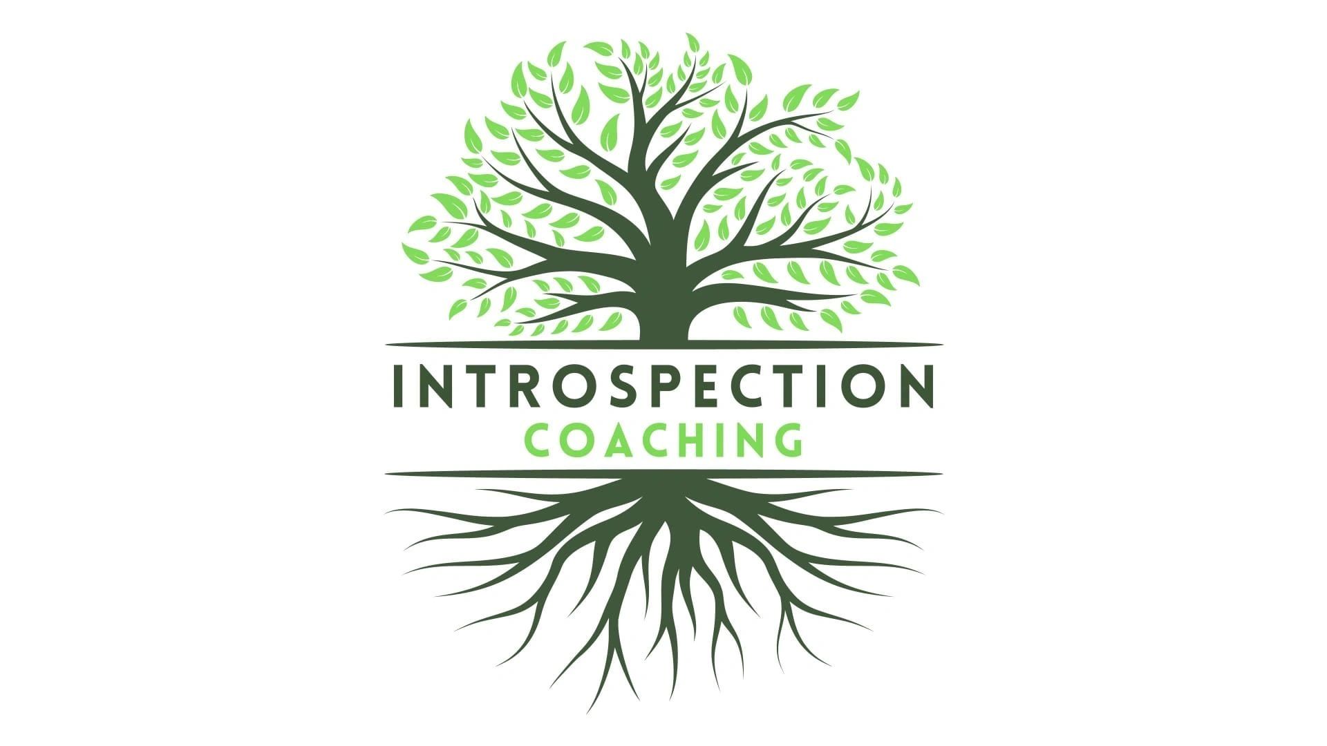 Introspection Coaching