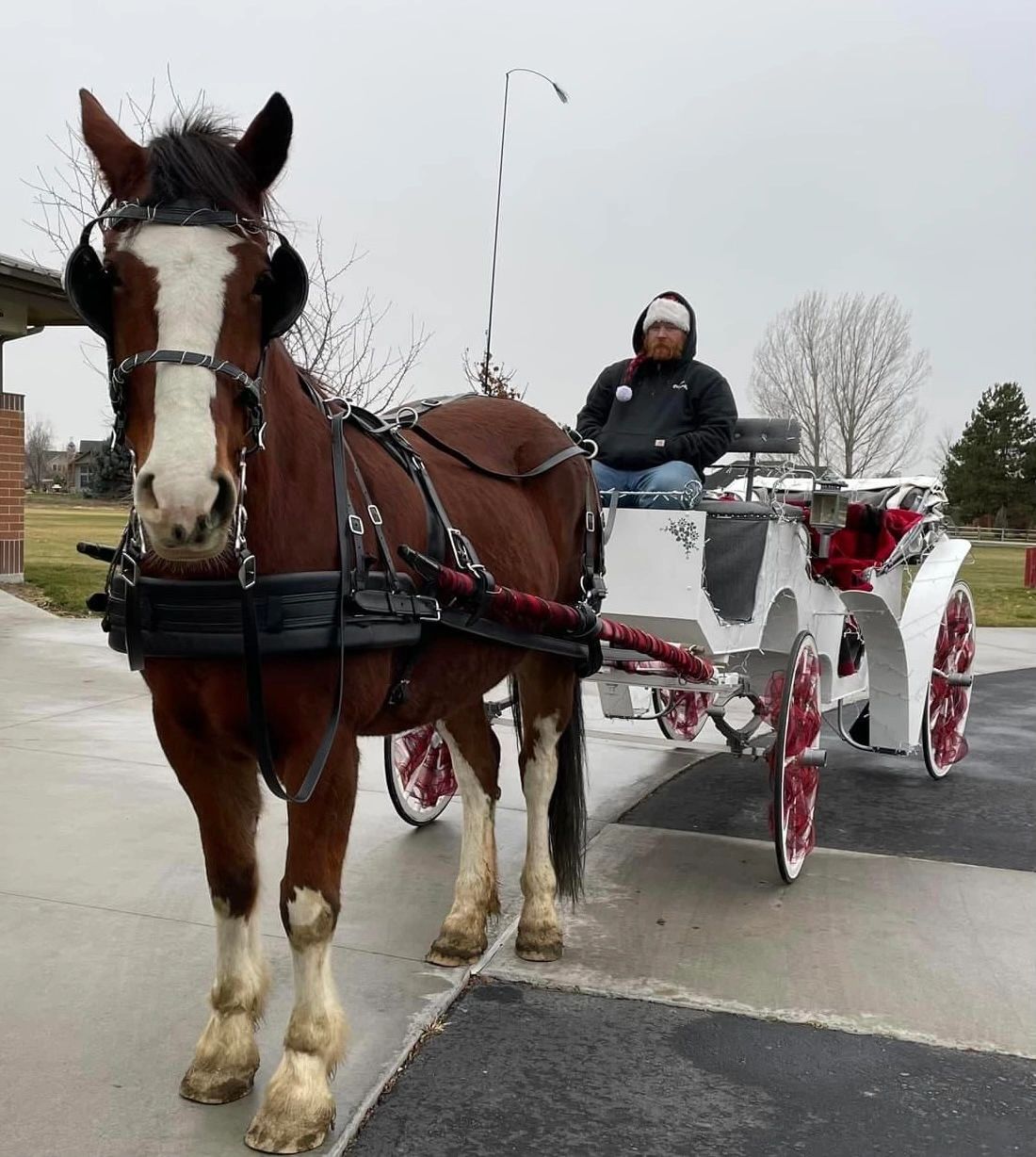 Magical Moments Carriage Company, LLC