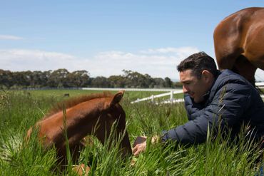 Slater Thoroughbreds | Go Slater