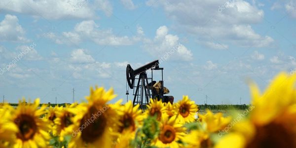 Stranded Gas Processors Association