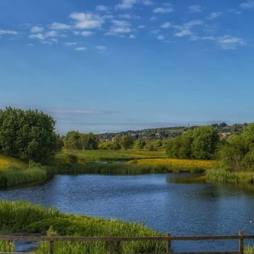 Meadows Nature Park | Bathgate Community Development Trust Ltd