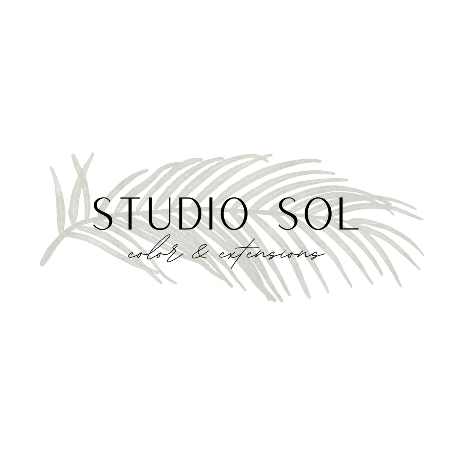 Studio Sol - Hair Color, Hair Extensions