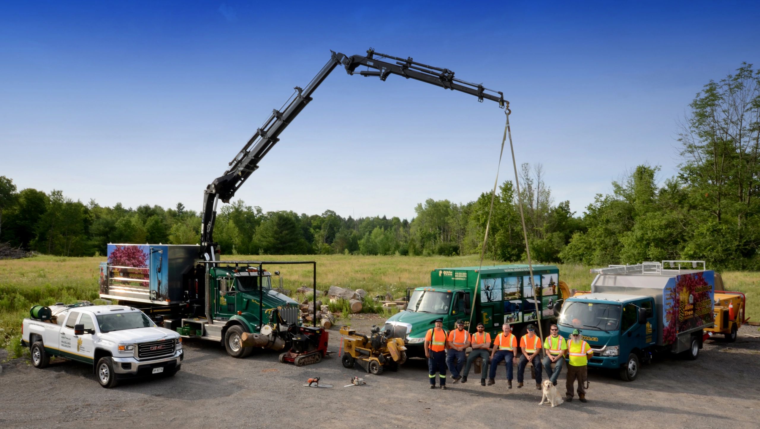 Able Tree Service Inc.