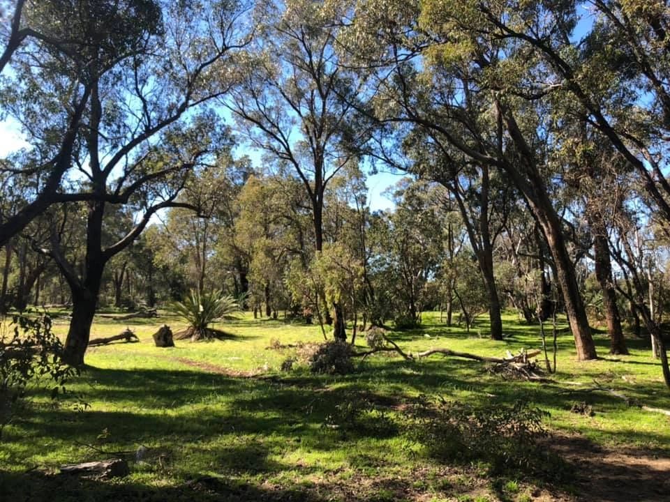 Riding Lessons - Wanneroo Riding Centre